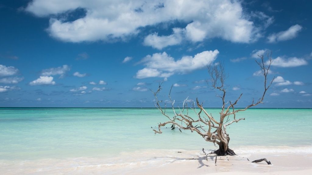 A Guide to Cayo Jutías near Viñales, Cuba | Ulysses Travel
